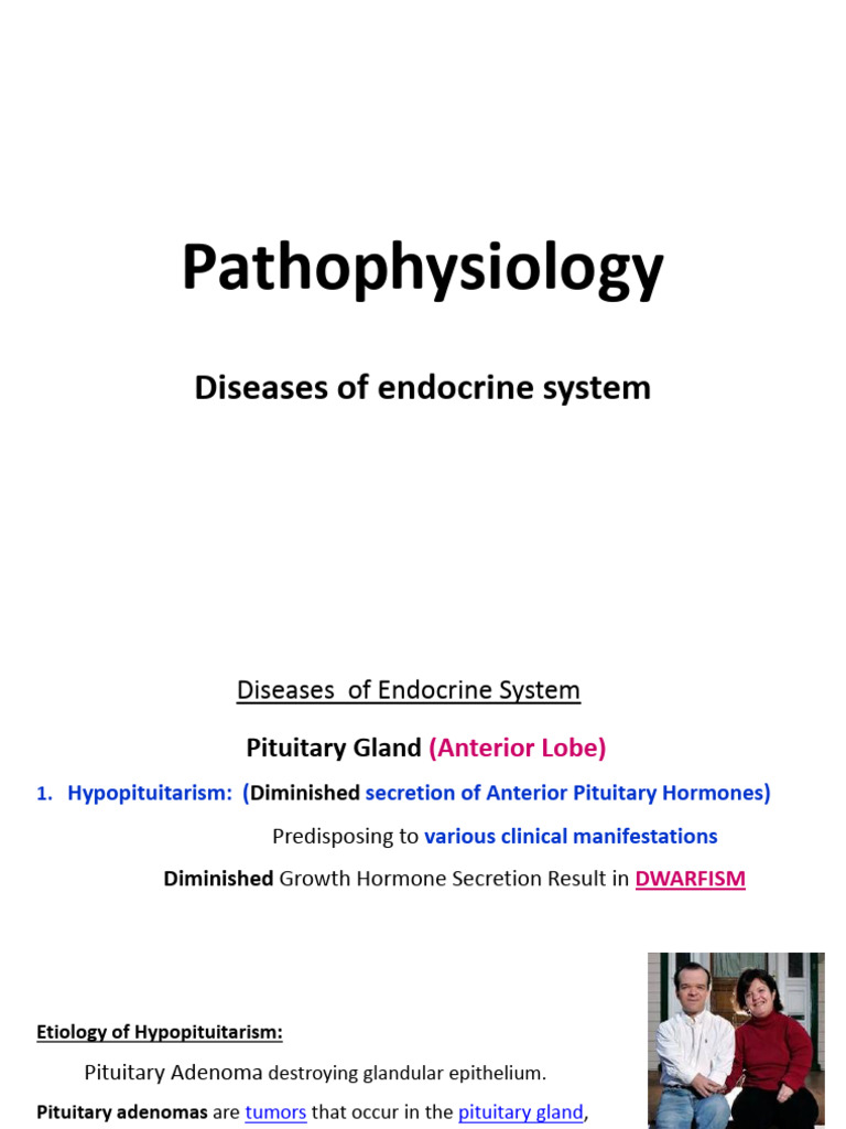 ENDOCRINE | PDF