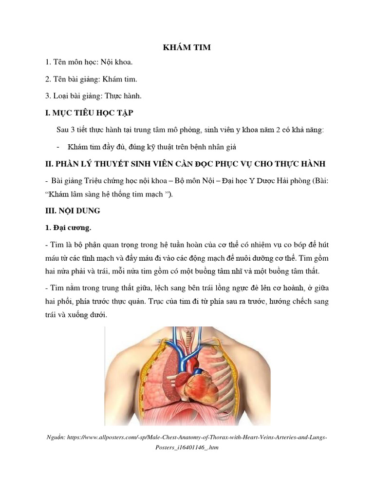 Bài Giảng Khám Tim | PDF