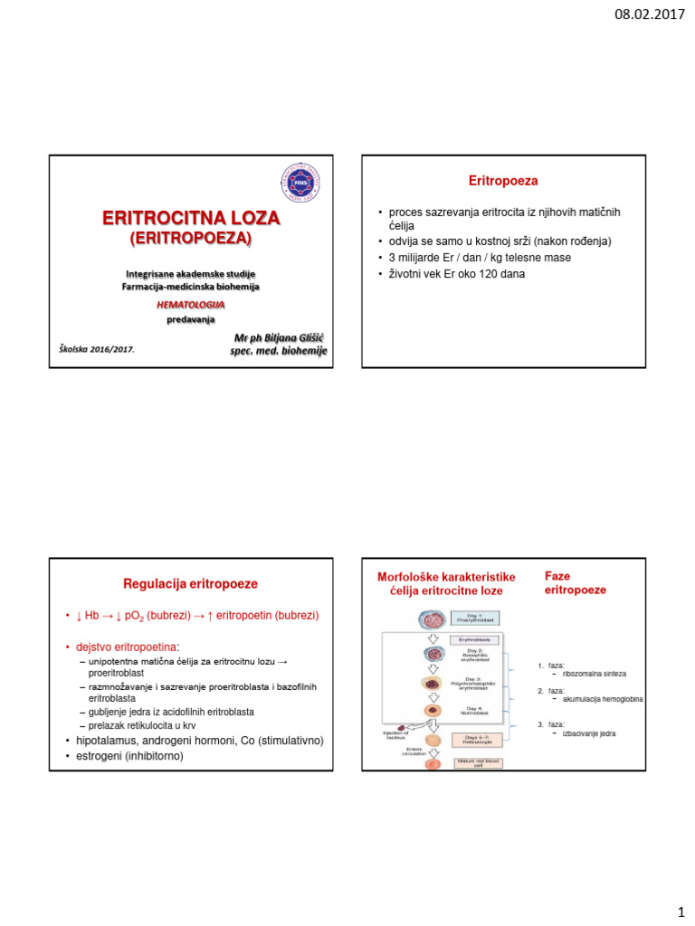 5 - Eritropoeza | PDF