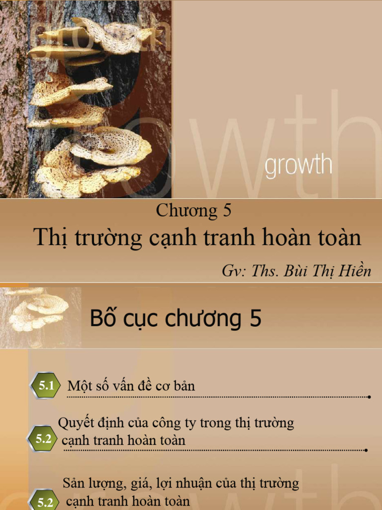 Kinh-Te-Vi-Mo - Bui-Thi-Hien - Chuong-5-Thi-Truong-Canh-Tranh-Hoan-Toan - (Cuuduongthancong ...