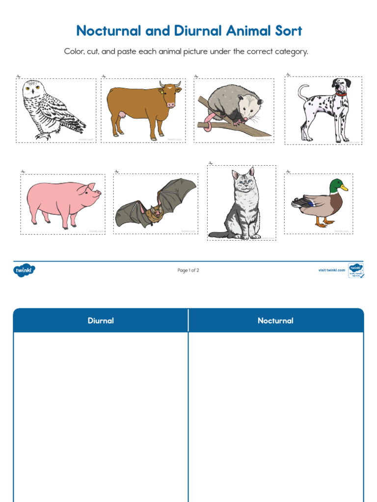 Nocturnal and Diurnal Animal Sort Activity Us S 215 Ver 1 | PDF