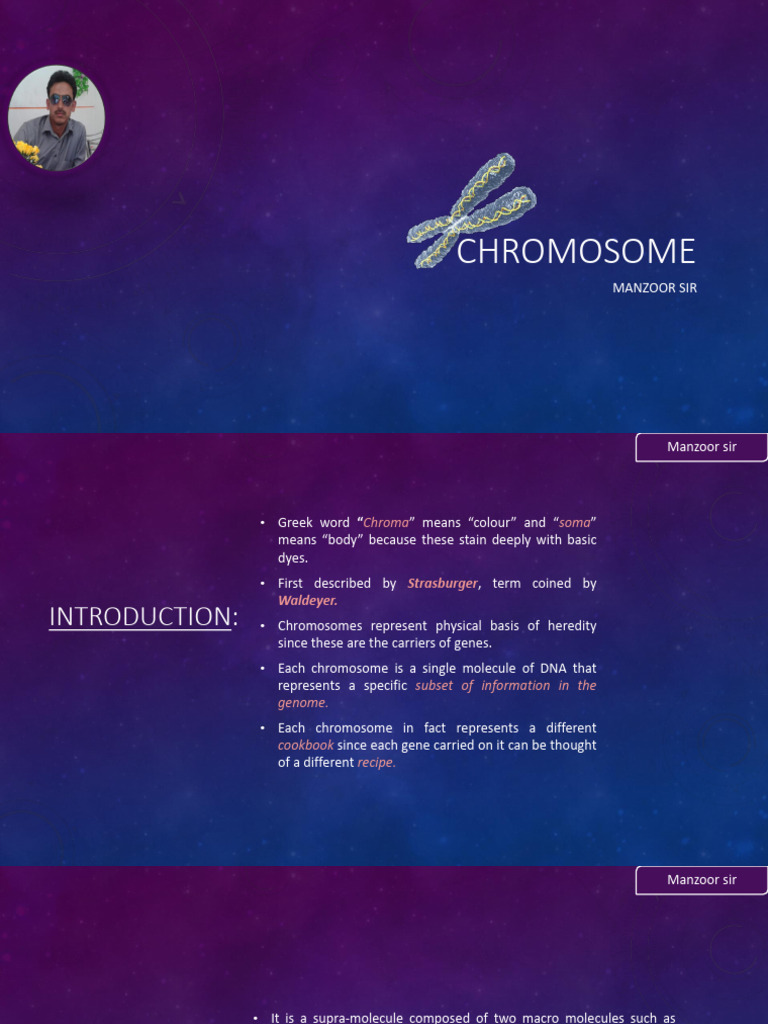 Chromosome | PDF