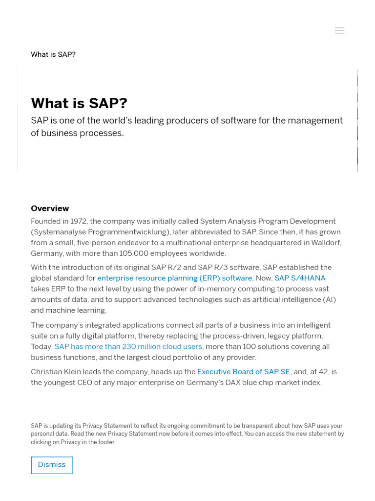 What is SAP_ _ Definition and Meaning | PDF What is SAP_ _ Definition and Meaning | PDF