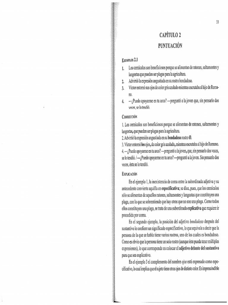 Errores Comunes - Puntuación | PDF