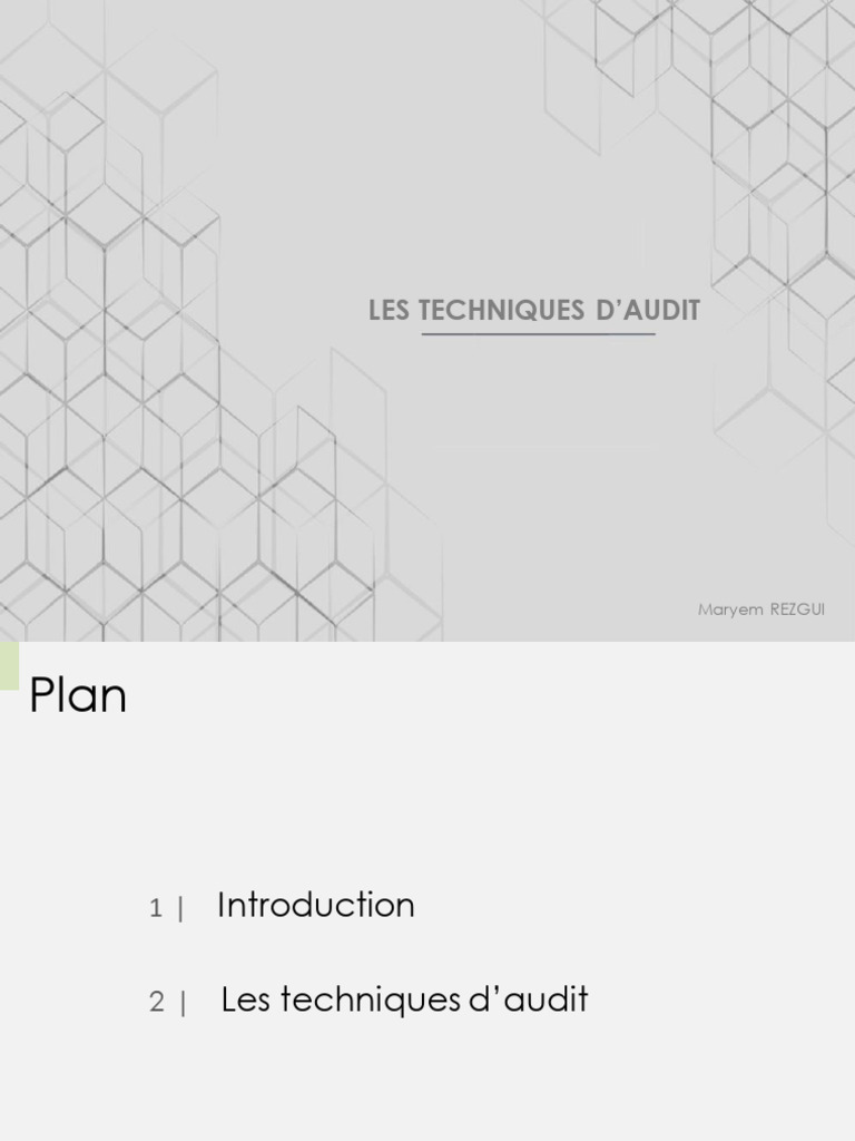 Technique Audit ISO19011 | PDF