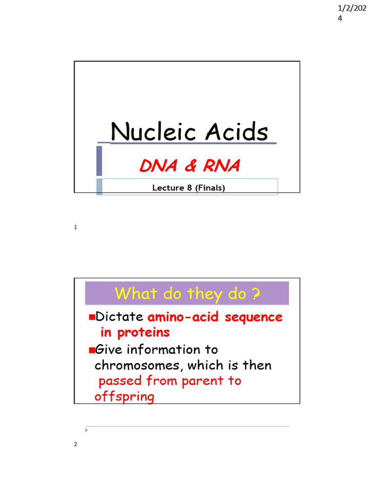 Nucleic Acid | PDF | Science & Mathematics