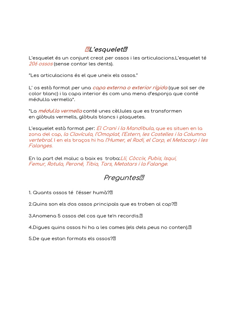 L'esquelet | PDF