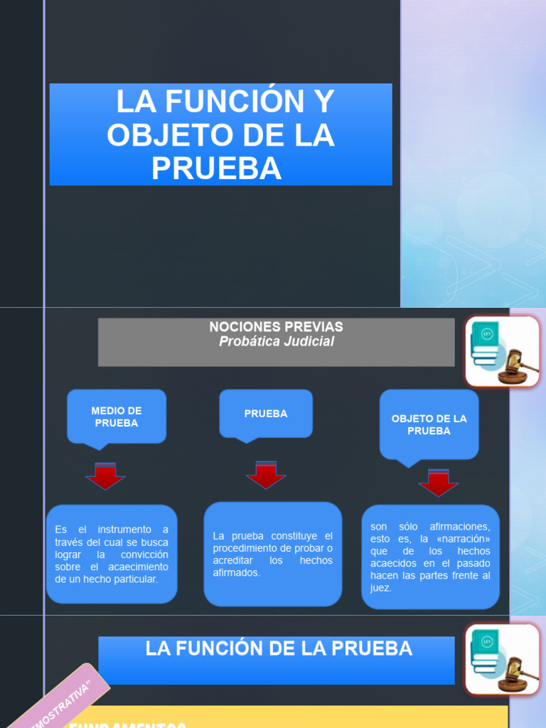 La Función y Objeto de La Prueba | PDF