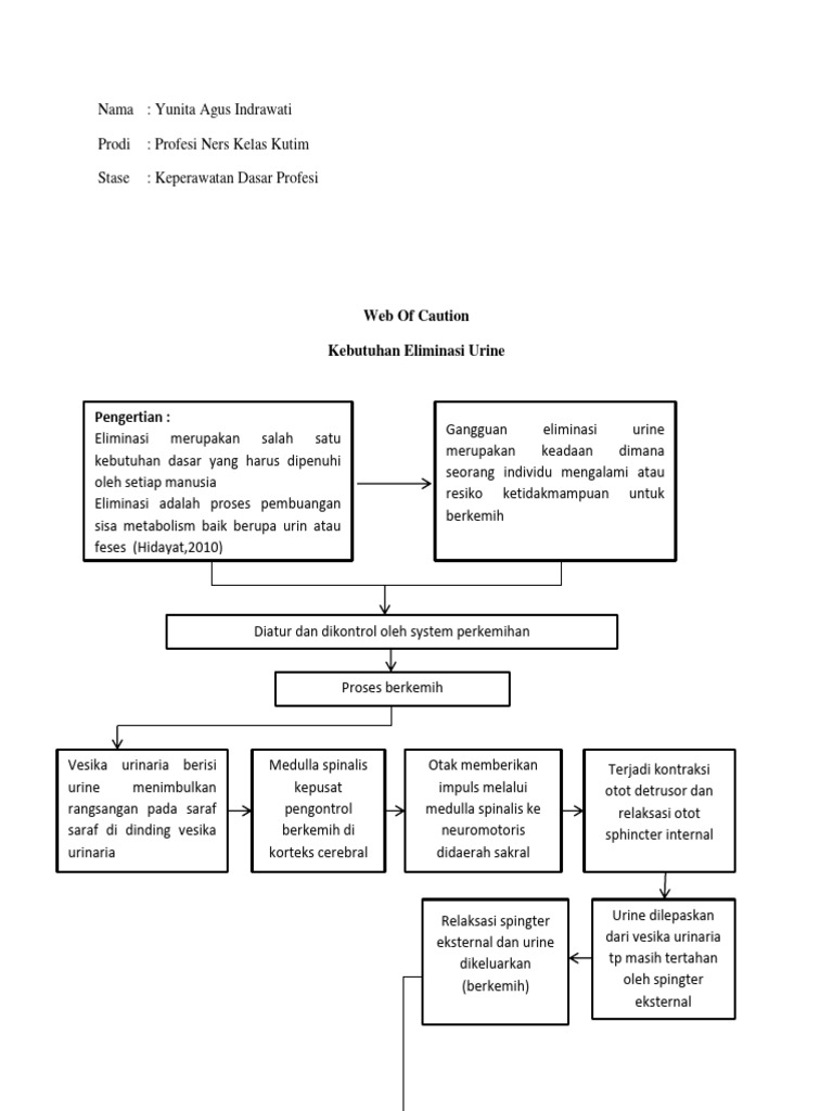 Woc Eliminasi | PDF