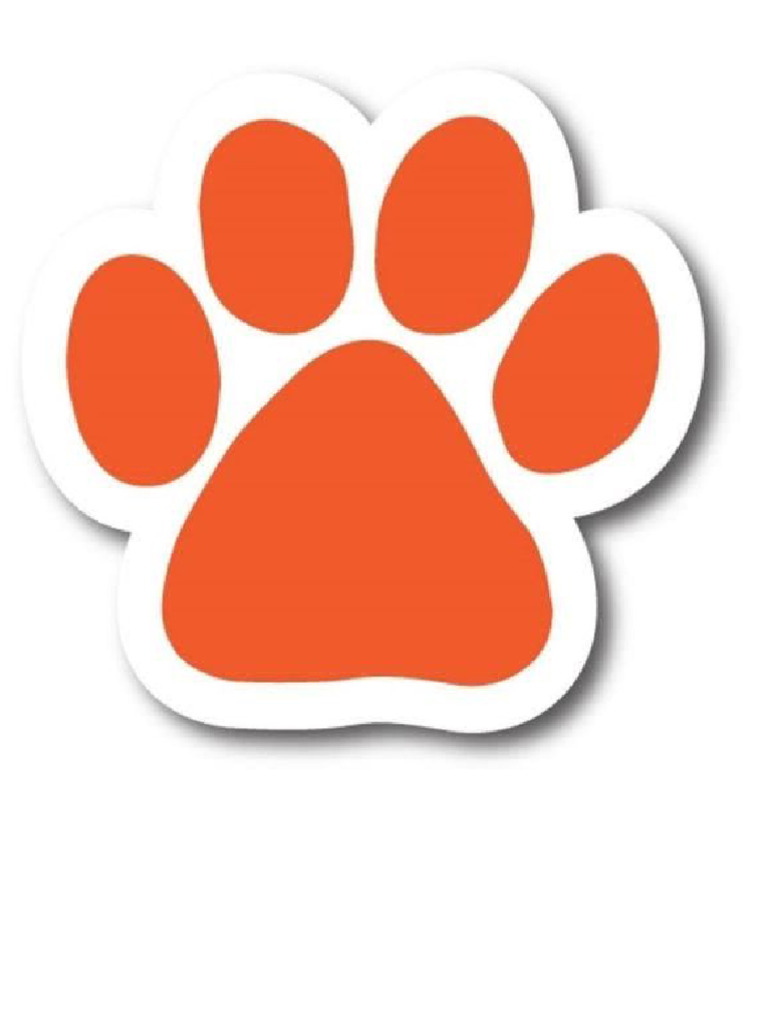 3 Exemplare, Color, Autocolant | PDF