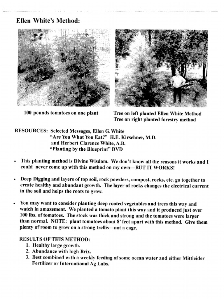 Ellen White's Tree Planting Method | PDF