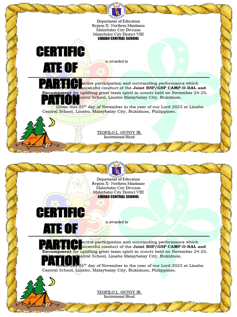 BSP Certificate | PDF