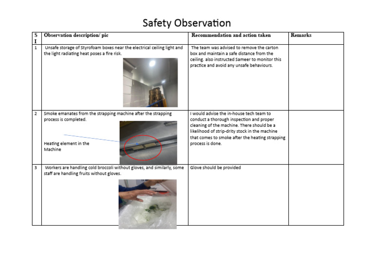 Safety Observation Report Summary | PDF