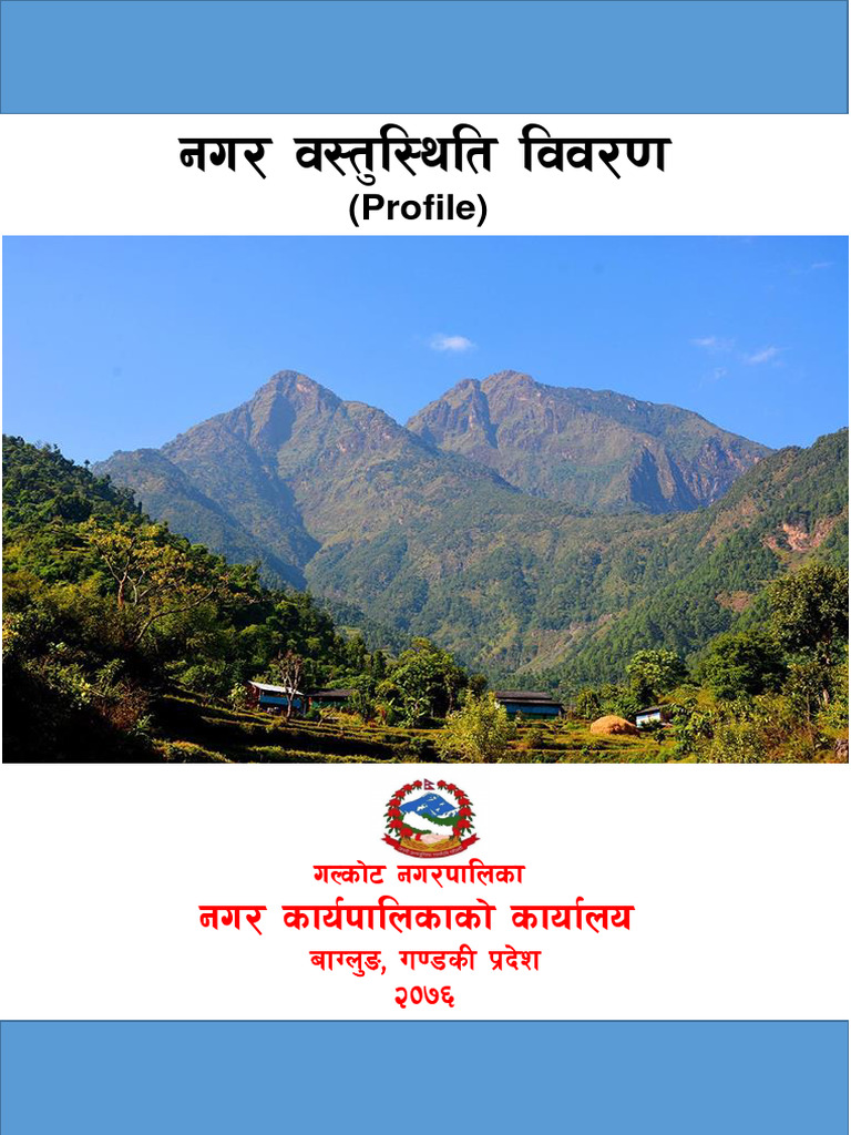 Profile Report | PDF