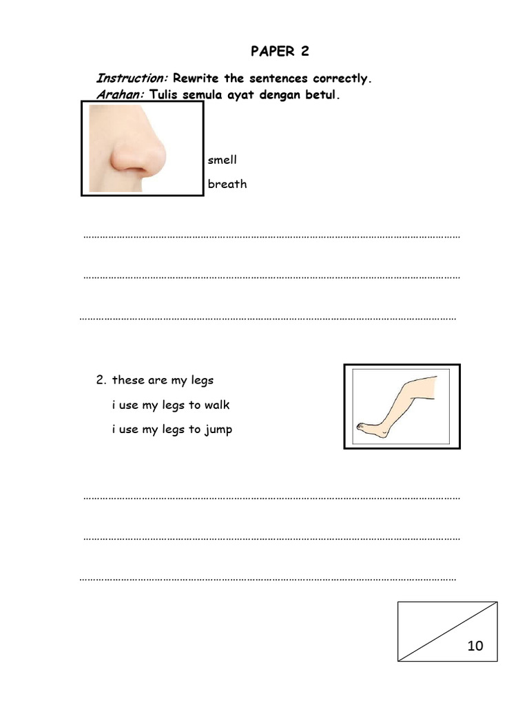 PAPER 2 Year 4 | PDF