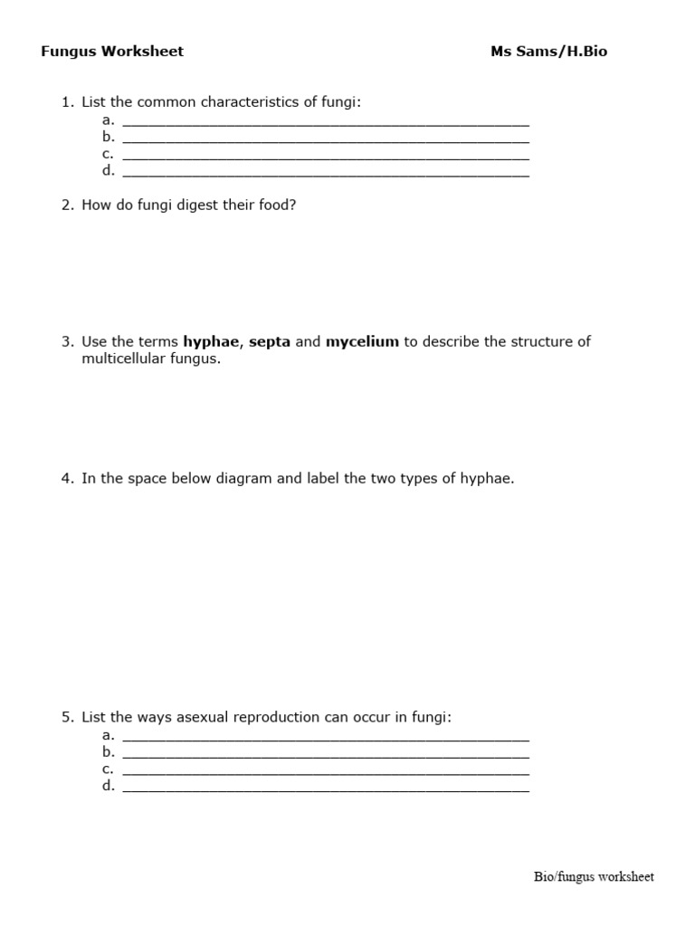 Fungus Worksheet | PDF | Science & Mathematics