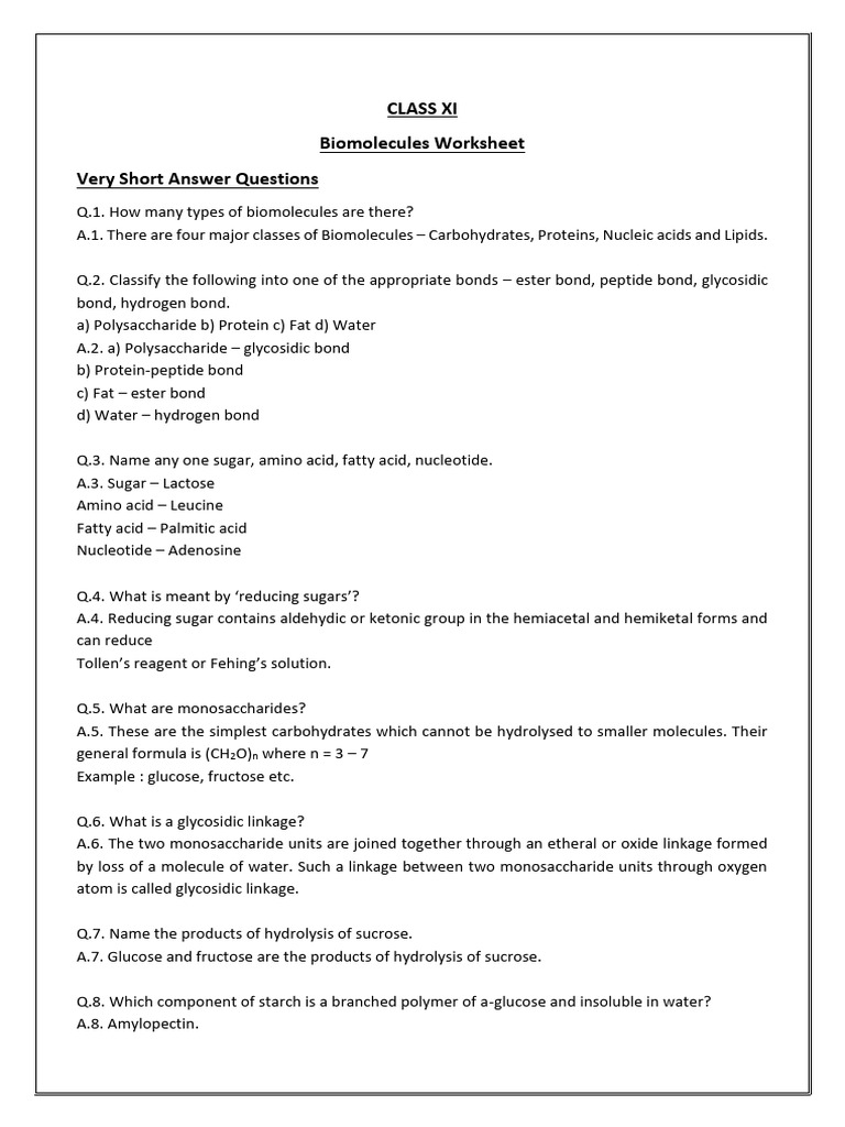 Biomolecules Worksheet 1 | Download Free PDF | Hydrolysis | Nucleotides