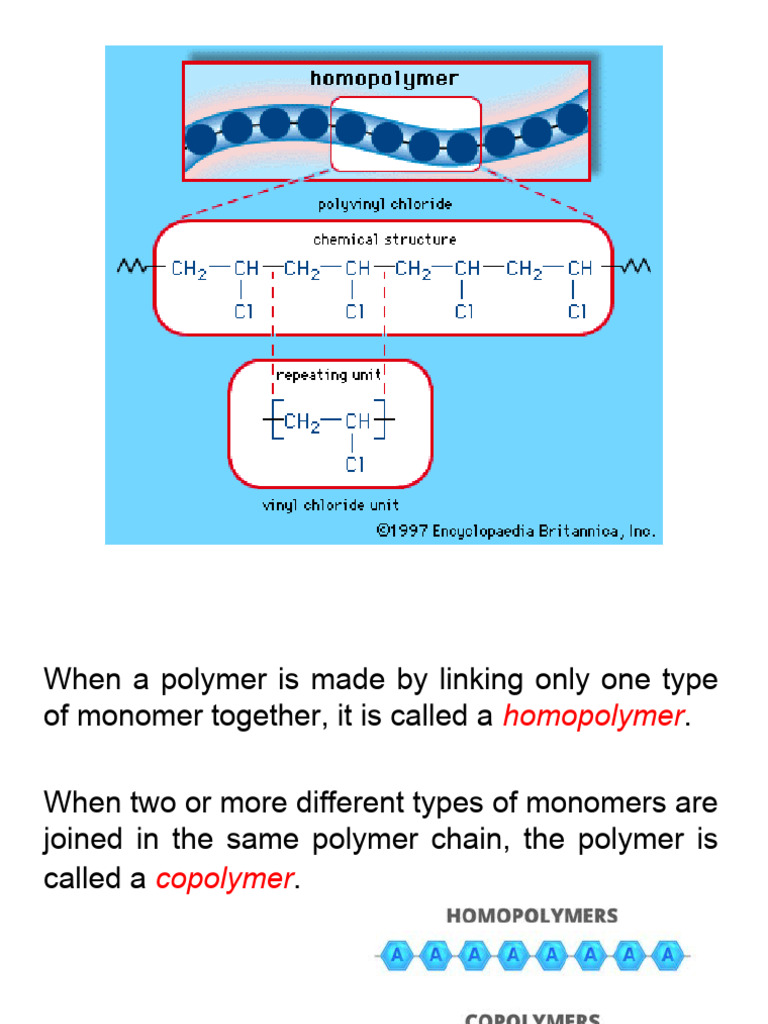 D6 Homopolymer Copolymer | PDF | Language Arts & Discipline