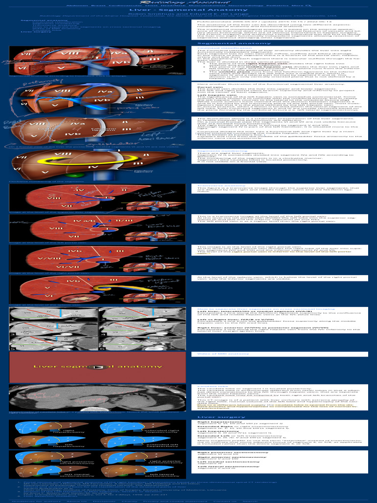 Liver Segmental Anatomy - Radiologyassisstant | PDF