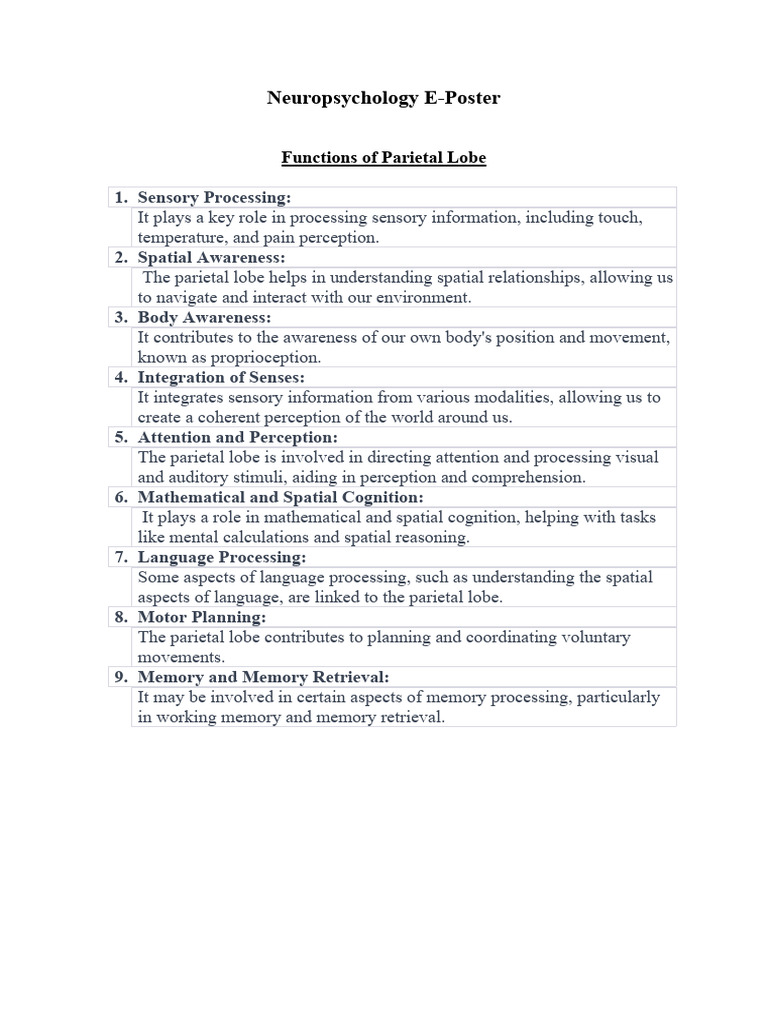 Neuro Assignment | PDF | Parietal Lobe | Perception