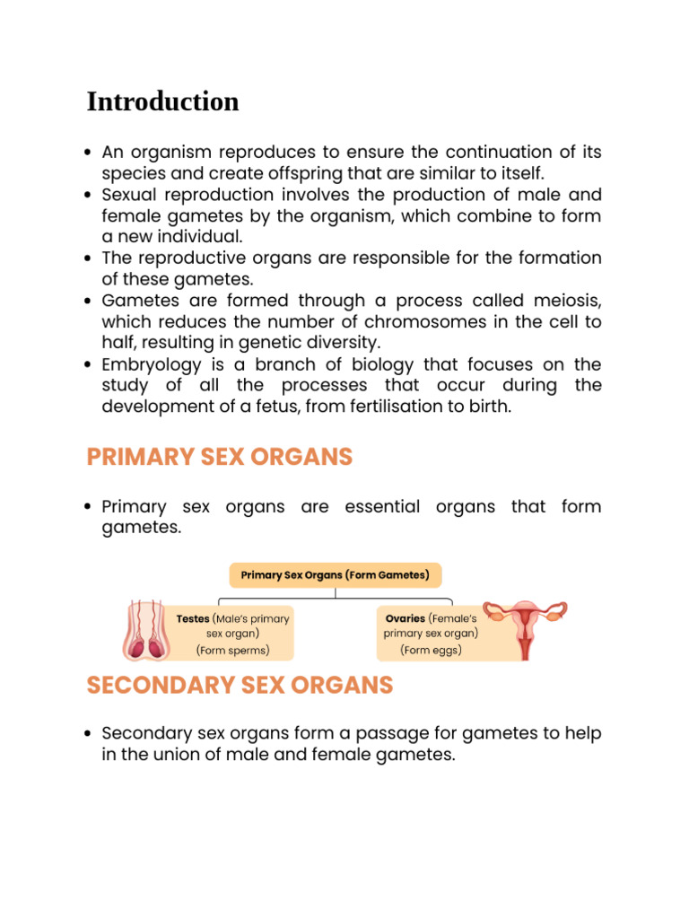 3.human Reproduction | PDF | Menstrual Cycle | Luteinizing Hormone