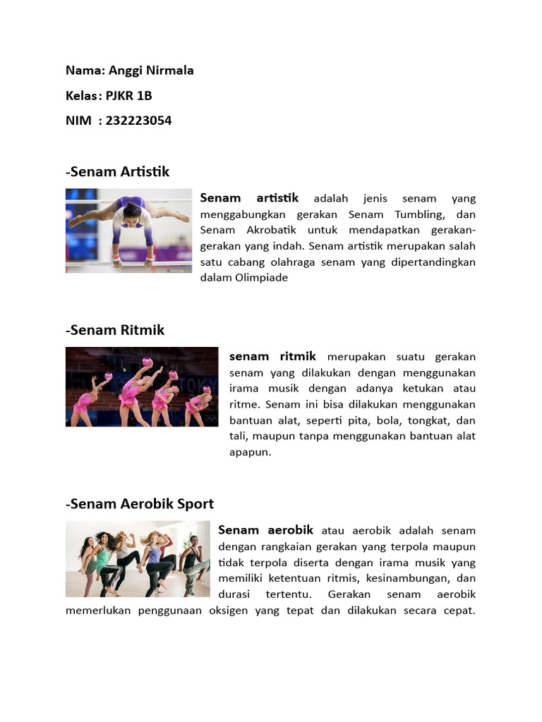 Anggi Nirmala PJKR1 B | PDF