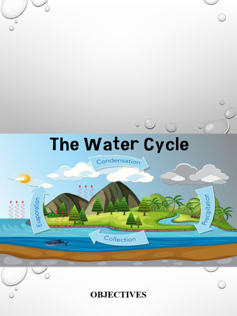 Water Cycle Ppt | PDF