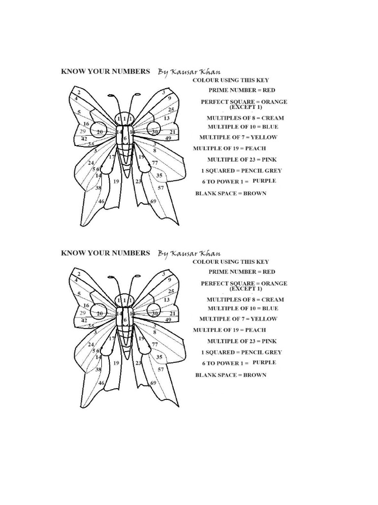 Butterfly Numbers Facts | PDF