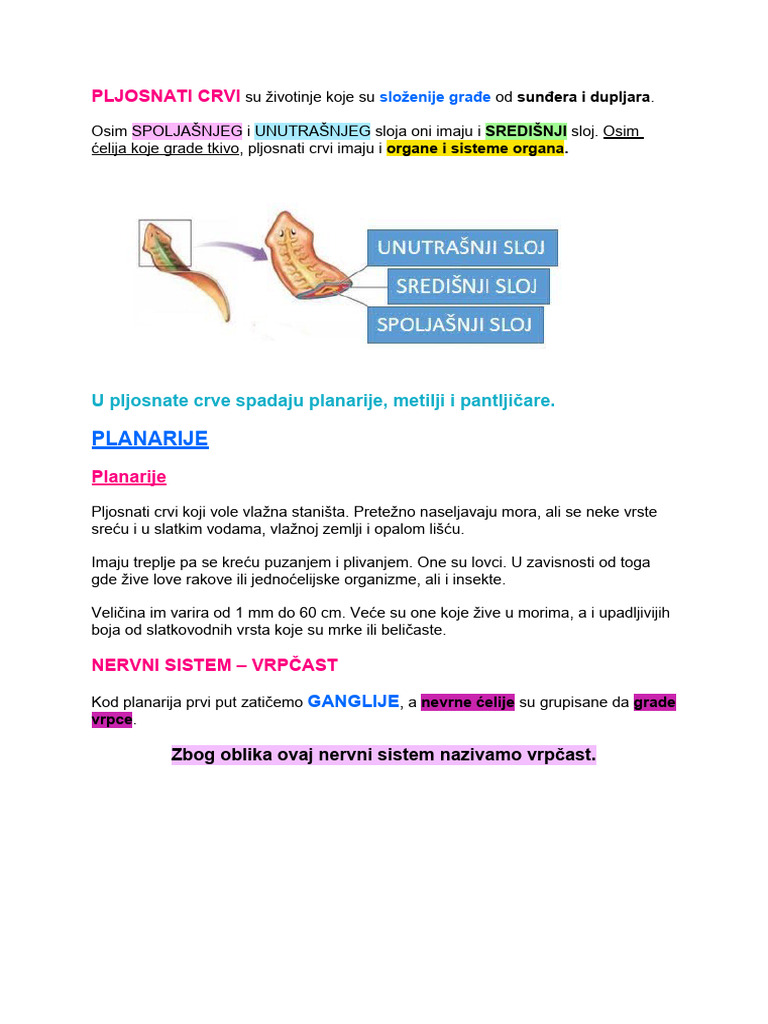 CRVI | PDF