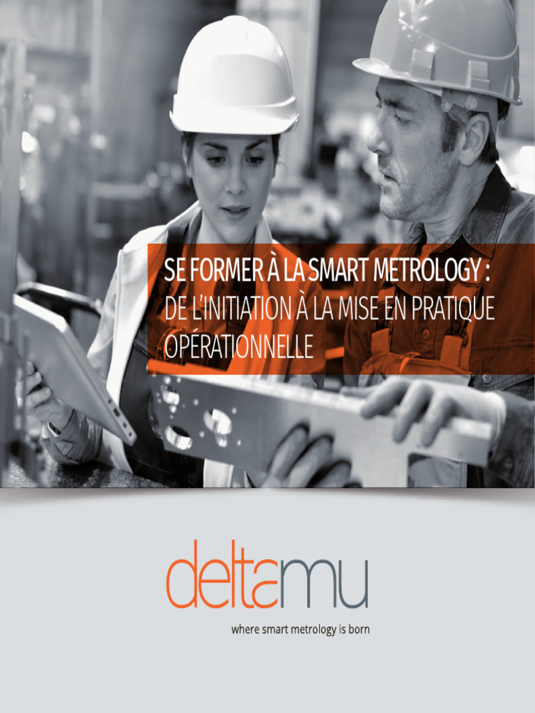 Deltamu - Catalogue Des Formations | PDF