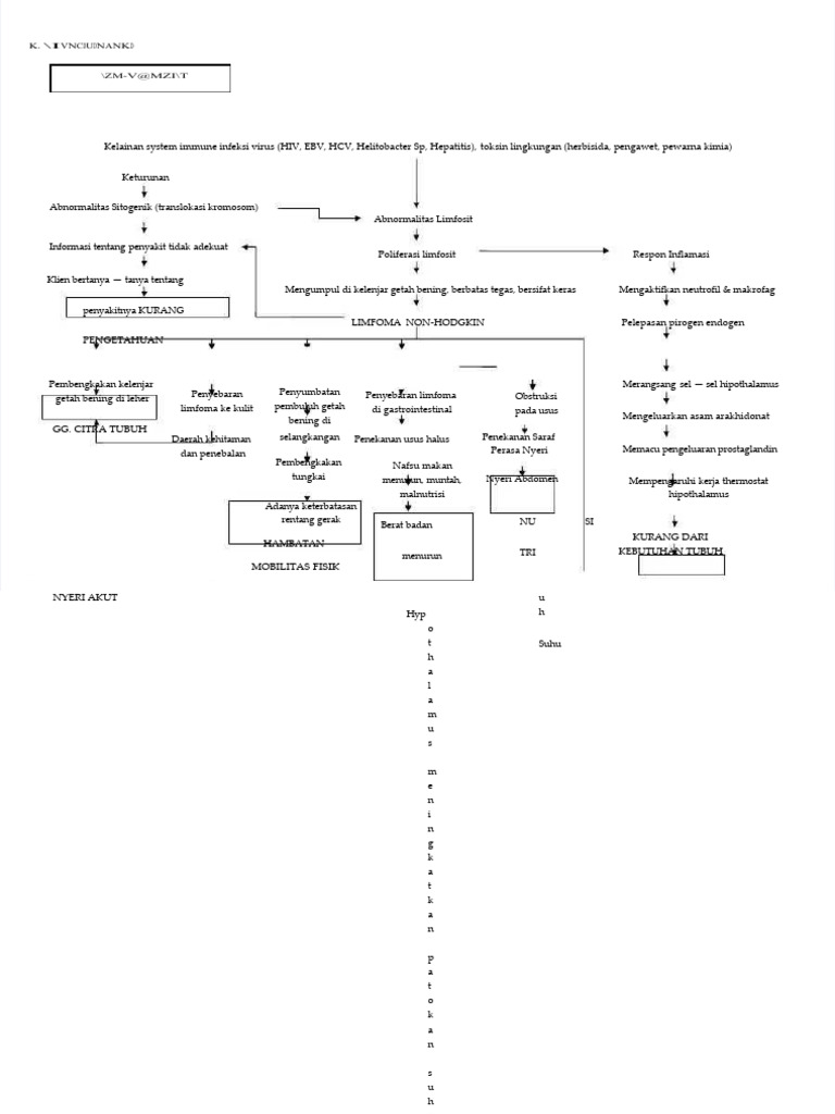 PDF Pathway LNH Compress | PDF