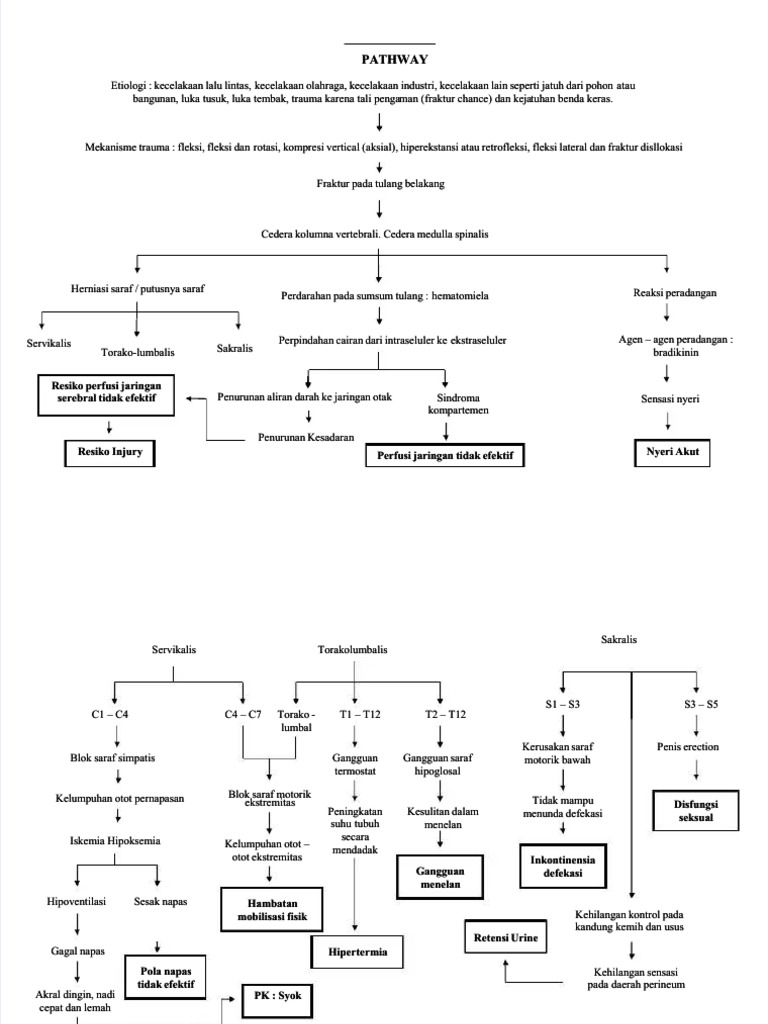 PDF Pathway Paraparese Rinra Sayang I Compress | PDF