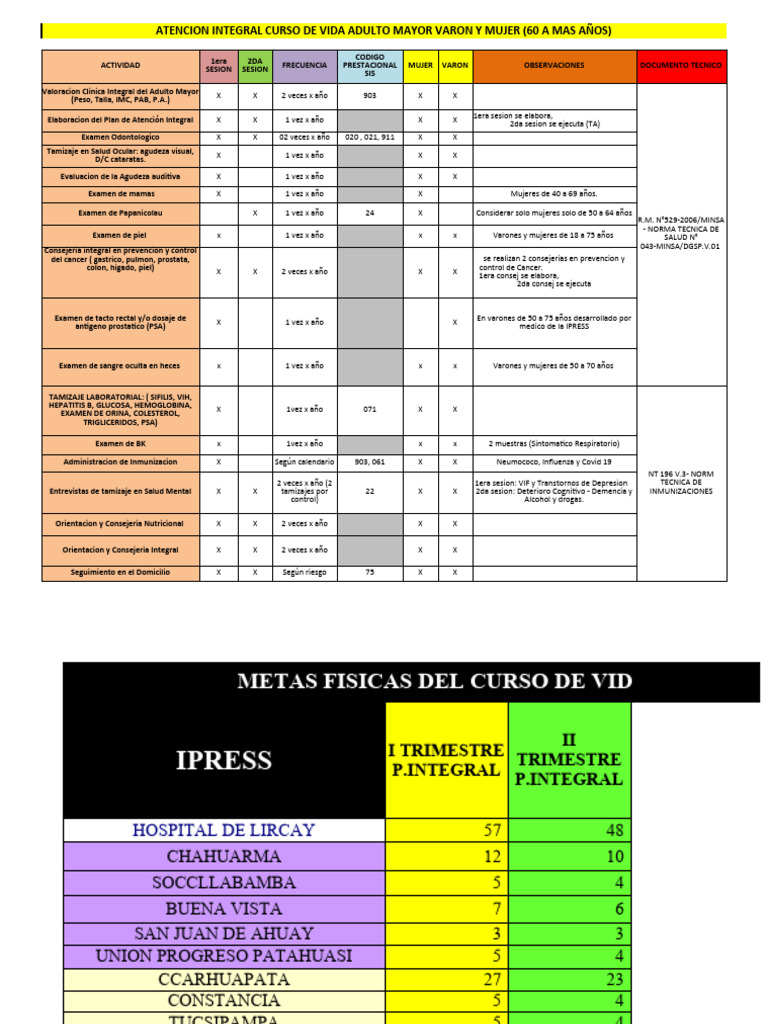 Paquetes de Atencion Integral - Curso de Vida Adulto Mayor | PDF ...