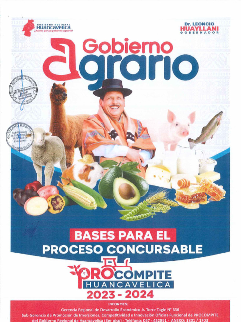 Formato 08 Bases Procompite Huancavelica 2023 2024 | PDF