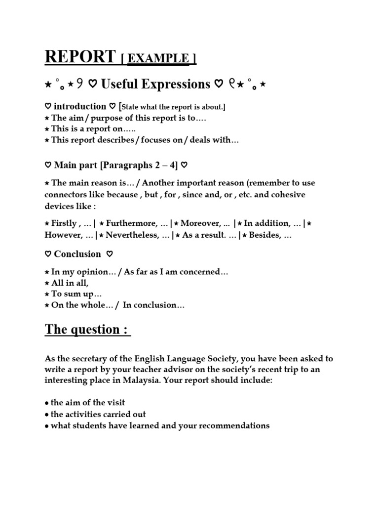 Aa Report | PDF | Sea Turtle