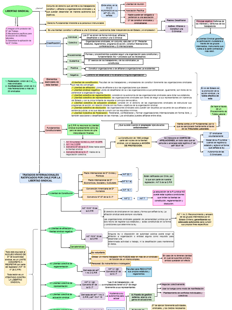 Libertad Sindical Esquema | PDF
