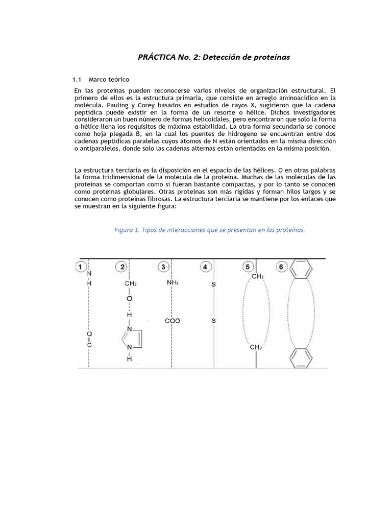 Guía Práctica 2 - SC | PDF
