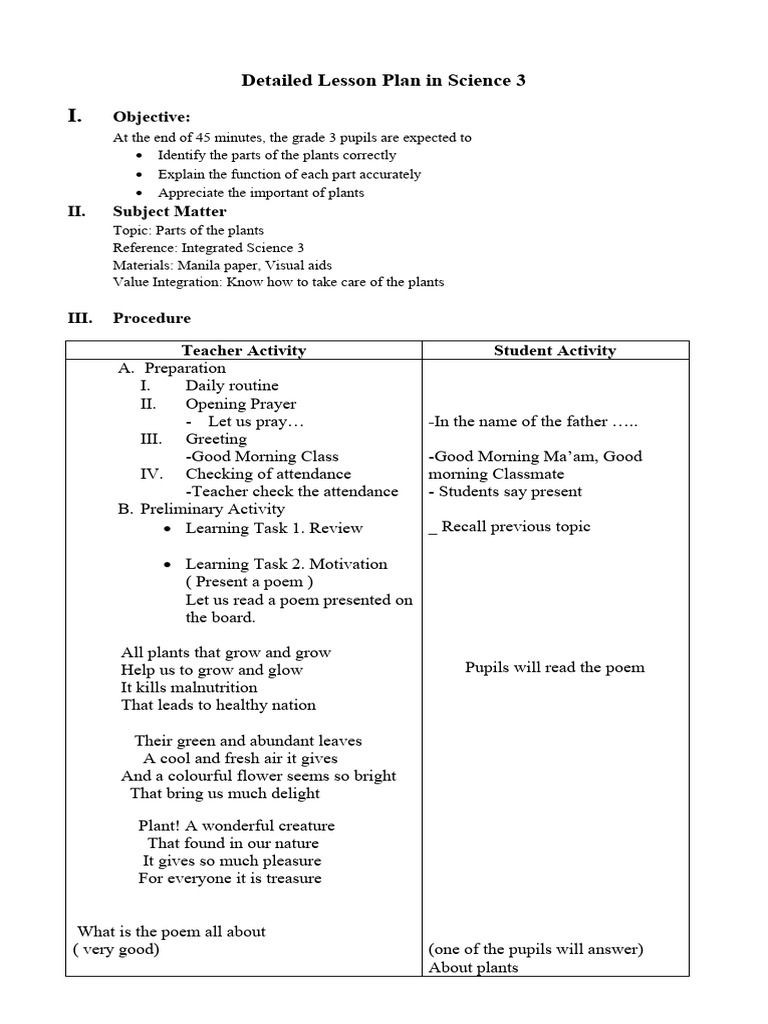 Lesson Plan 1st year | PDF