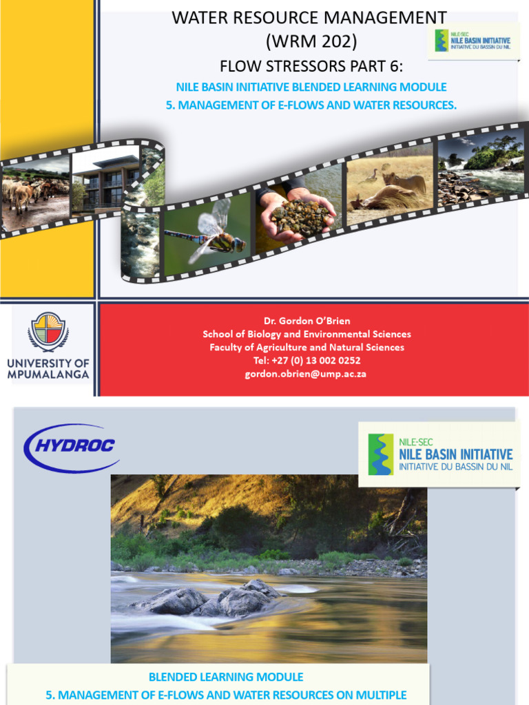 WMG202 - Lecture 12 - NBI BLM 5. E-Flow Implementation | PDF