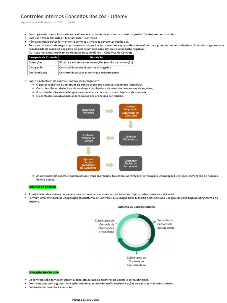 Controles Internos - Conceitos Básicos | PDF