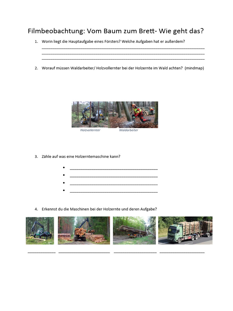 Filmbeobachtung - Vom Baum Zum Brett | PDF