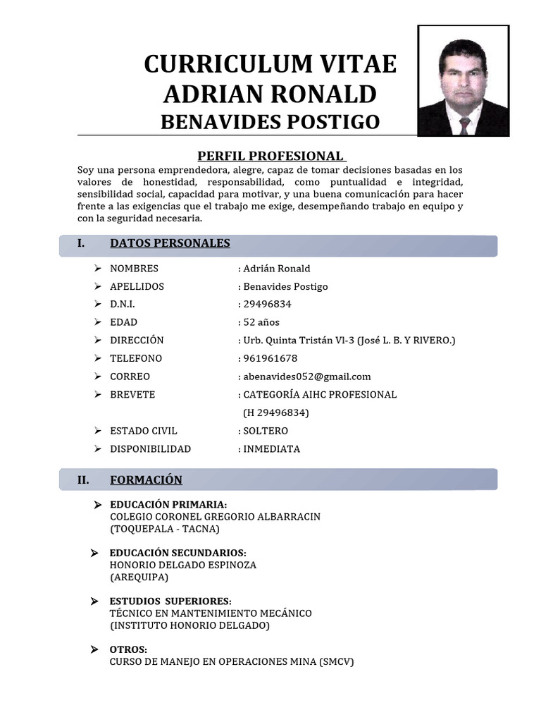 Curriculum Vitae Adrian Ronald Postigo | PDF