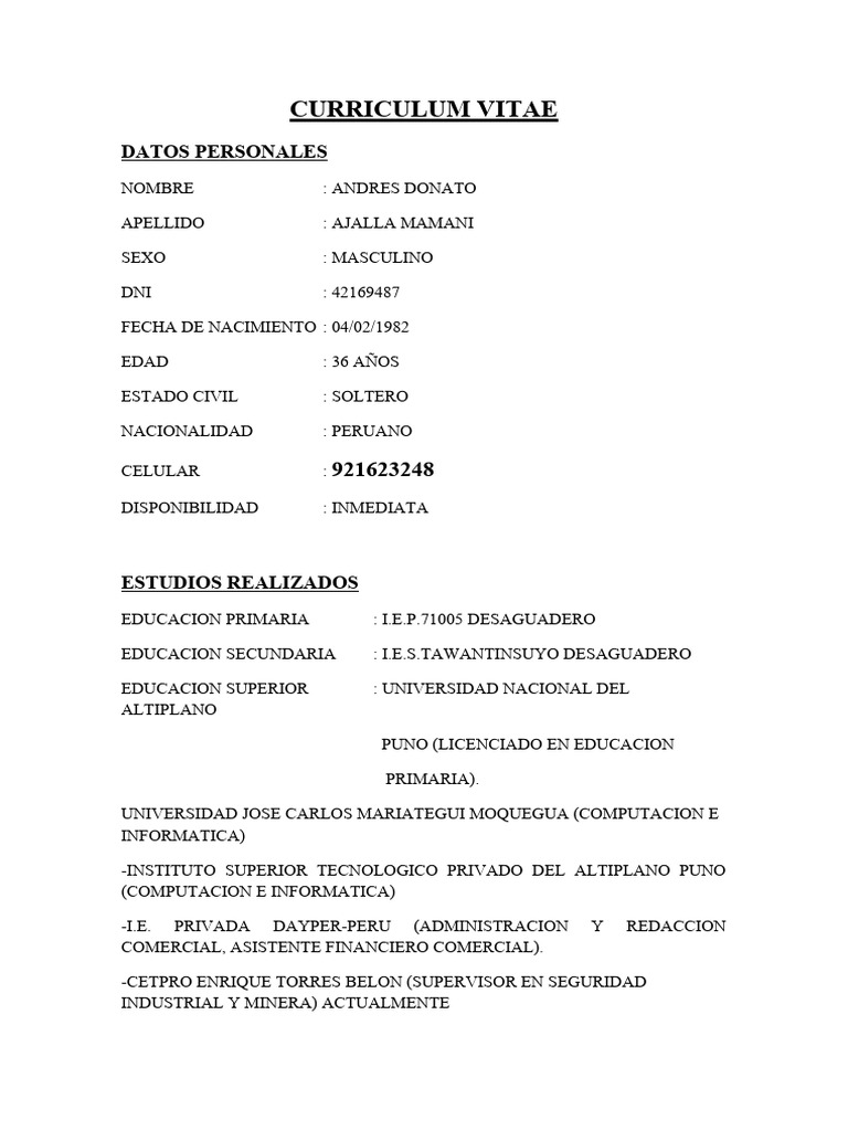 Curriculum Vitae Andres Donato | PDF