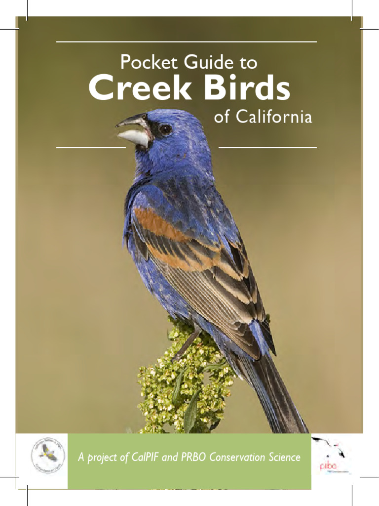 Creek Birds of California | PDF | Science & Mathematics | Technology ...