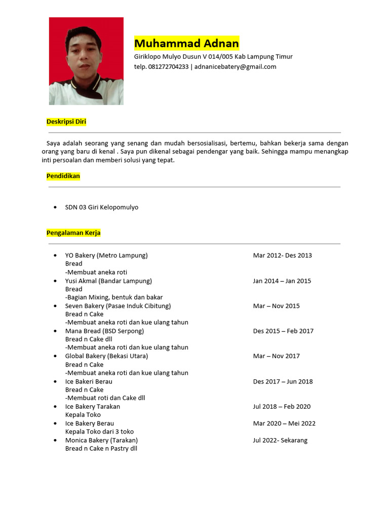 CV Muhammad Adnan | PDF