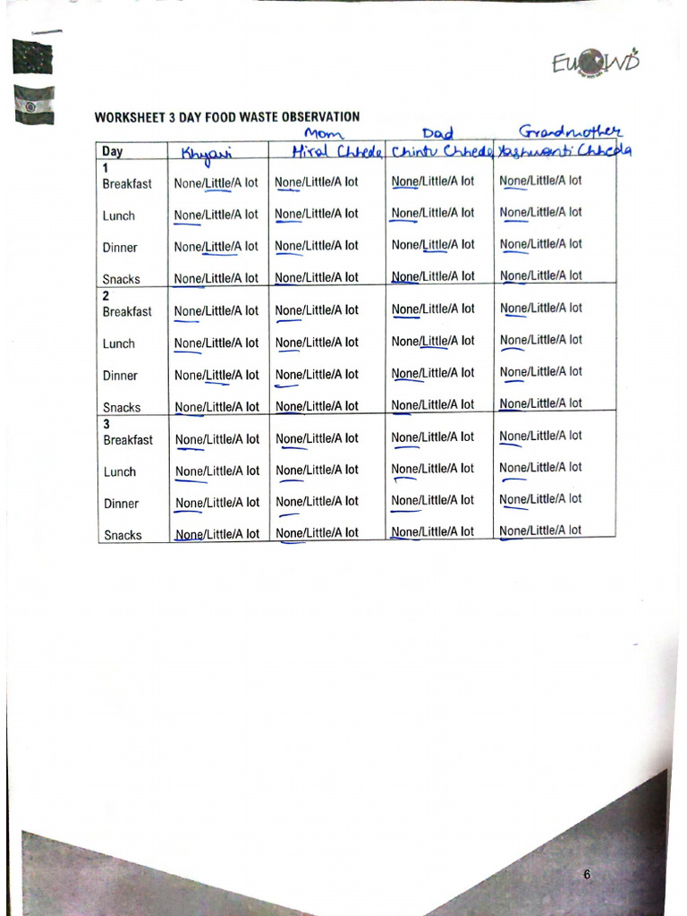 worksheet 3 day food waste observation | PDF
