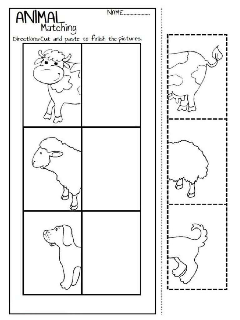 Animal Matching | PDF