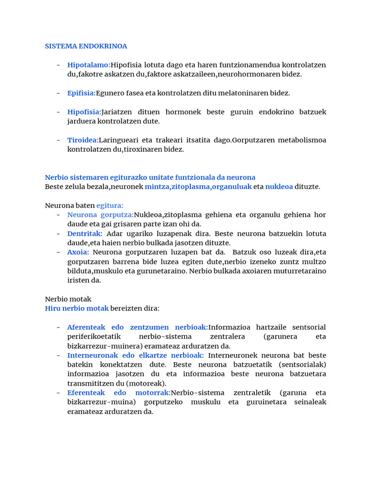 Anatomia Segundo Trimestre | PDF