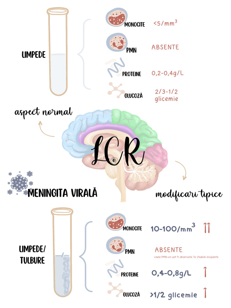 LCR | PDF