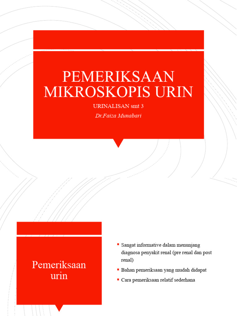 Pemeriksaan Mikroskopis Urin | PDF